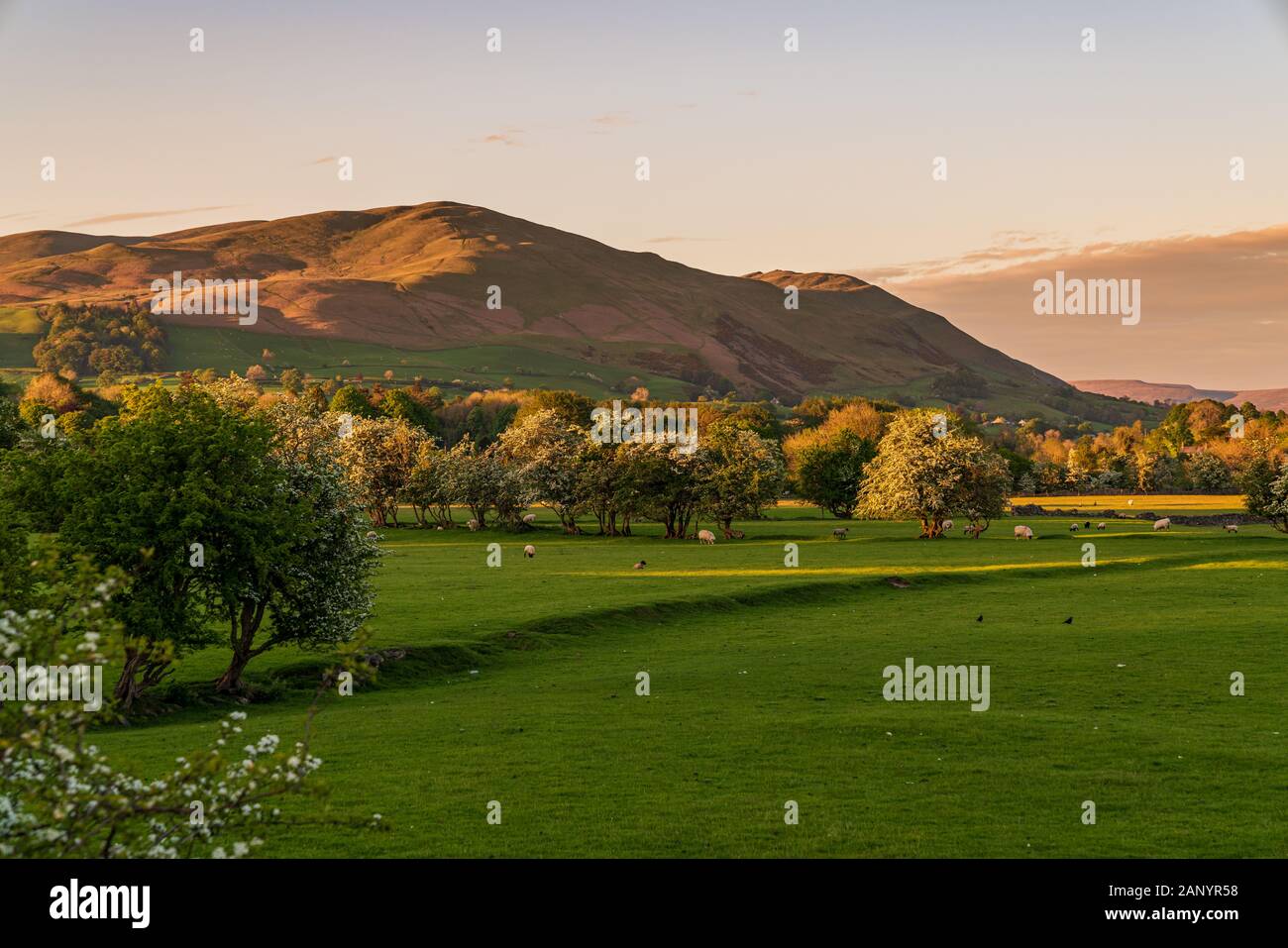 Evening in the Yorkshire Dales near Ingmire Hall, Cumbria, England, UK ...