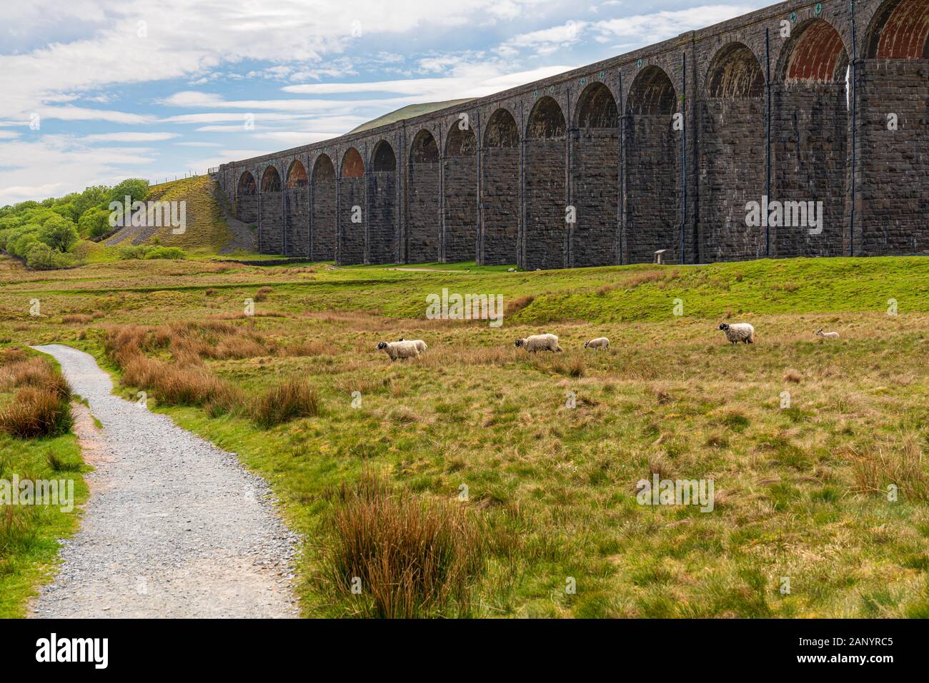 The Ribblehead Viaduct near Ingleton, North Yorkshire, England, UK ...