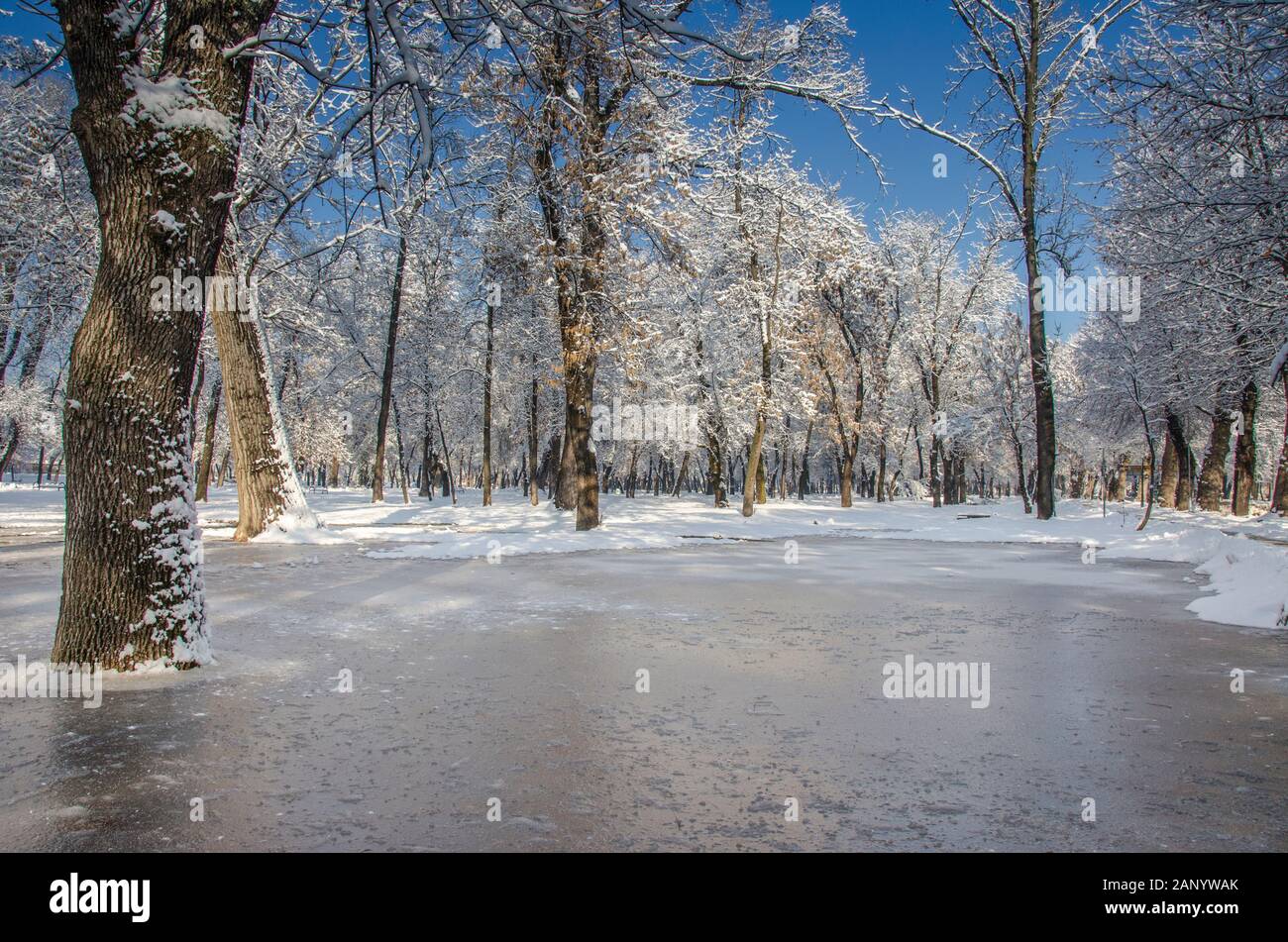 Frozen pond in Winter - Bitola city park, Macedonia Stock Photo - Alamy