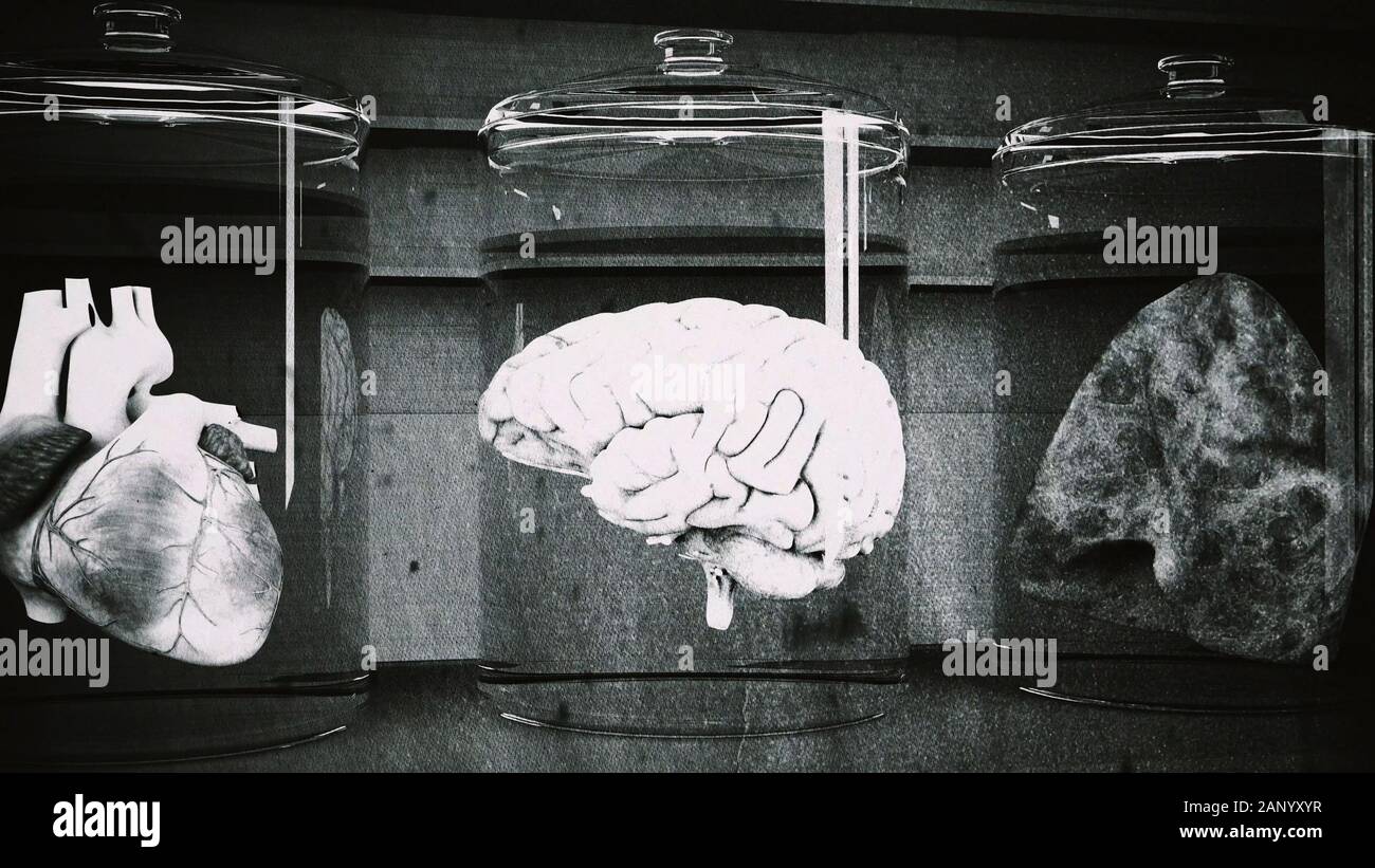 Human Organs in Science Laboratory Glasses 3D Illustration Stock Photo ...