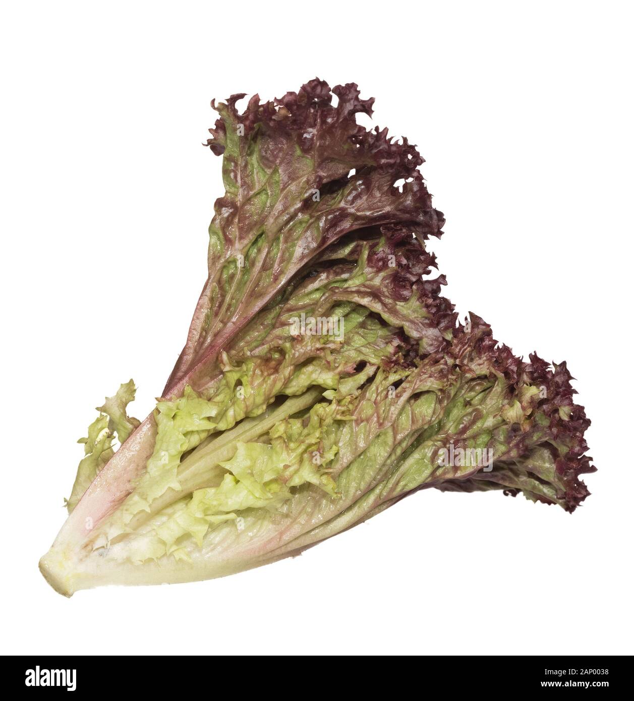 Long and deep Cut Out Stock Images & Pictures - Alamy