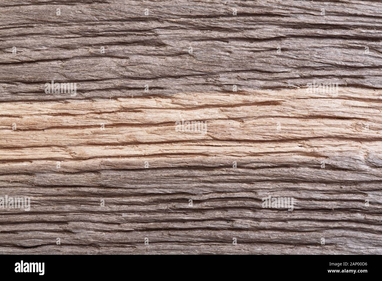 Dark oak wood close-up. Abstract background. High quality texture Stock ...