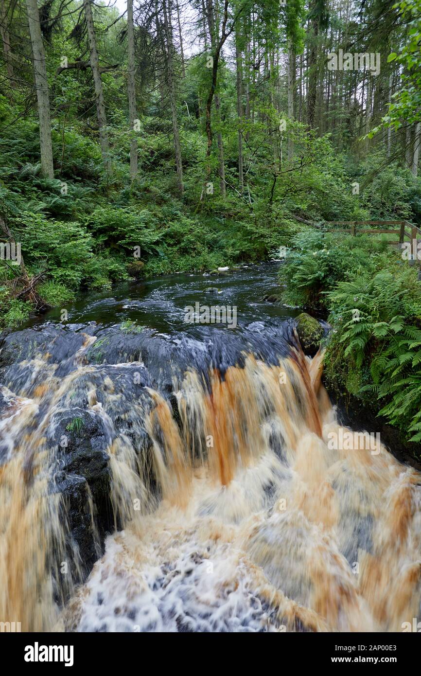 Waterfalls in Glenariff Forest Park, Co Antrim Stock Photo - Alamy