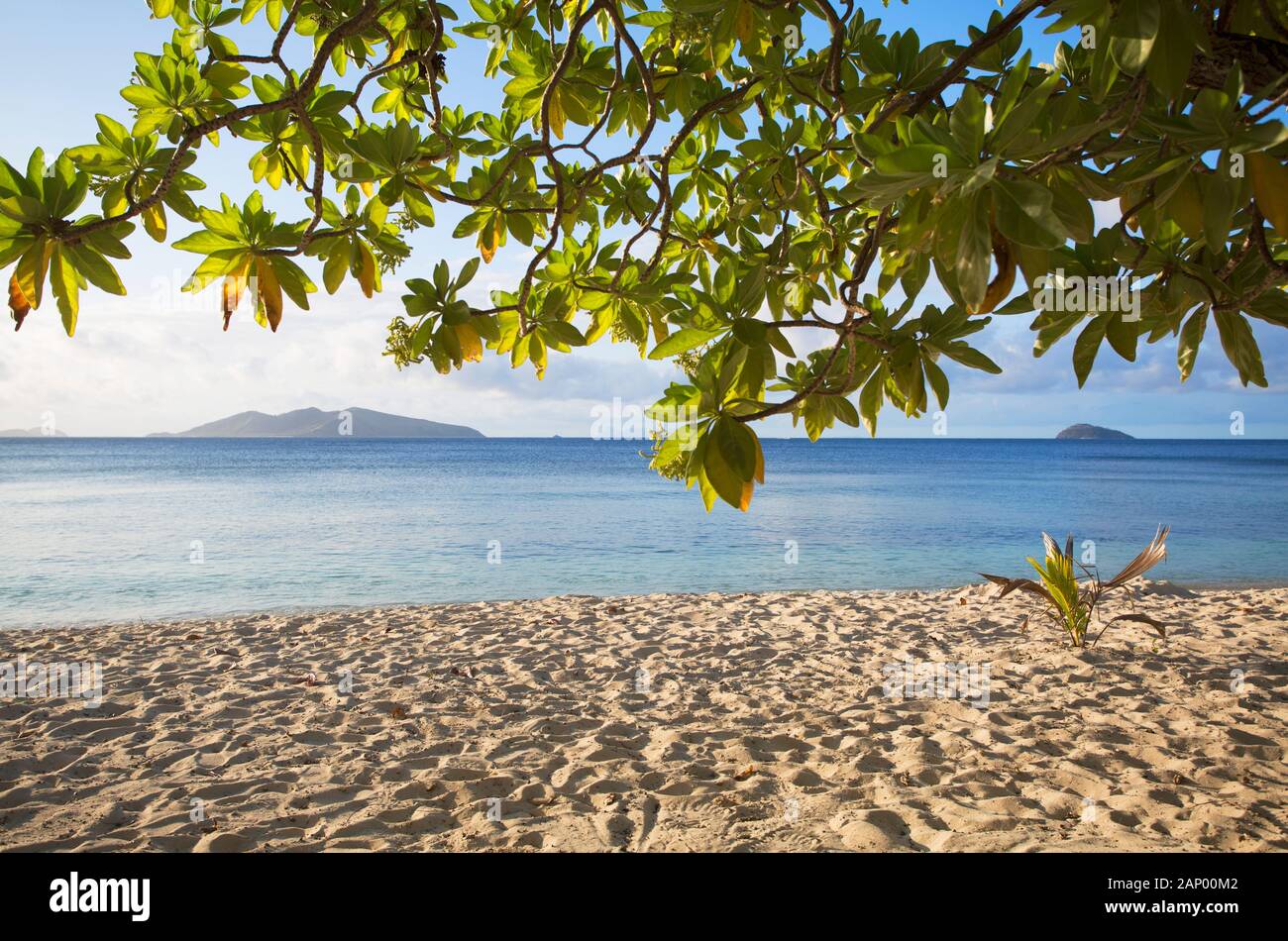 Beach on Mana Island, Mamanuca Islands, Fiji Stock Photo - Alamy