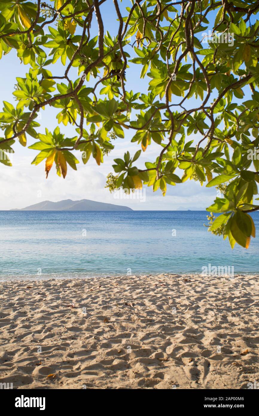Beach on Mana Island, Mamanuca Islands, Fiji Stock Photo - Alamy