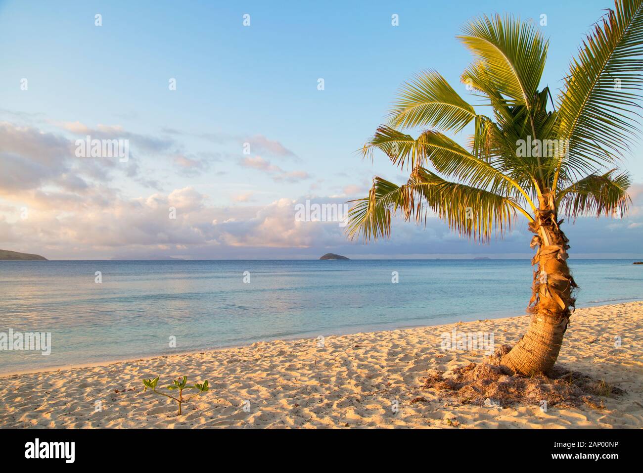 Beach on Mana Island, Mamanuca Islands, Fiji Stock Photo - Alamy