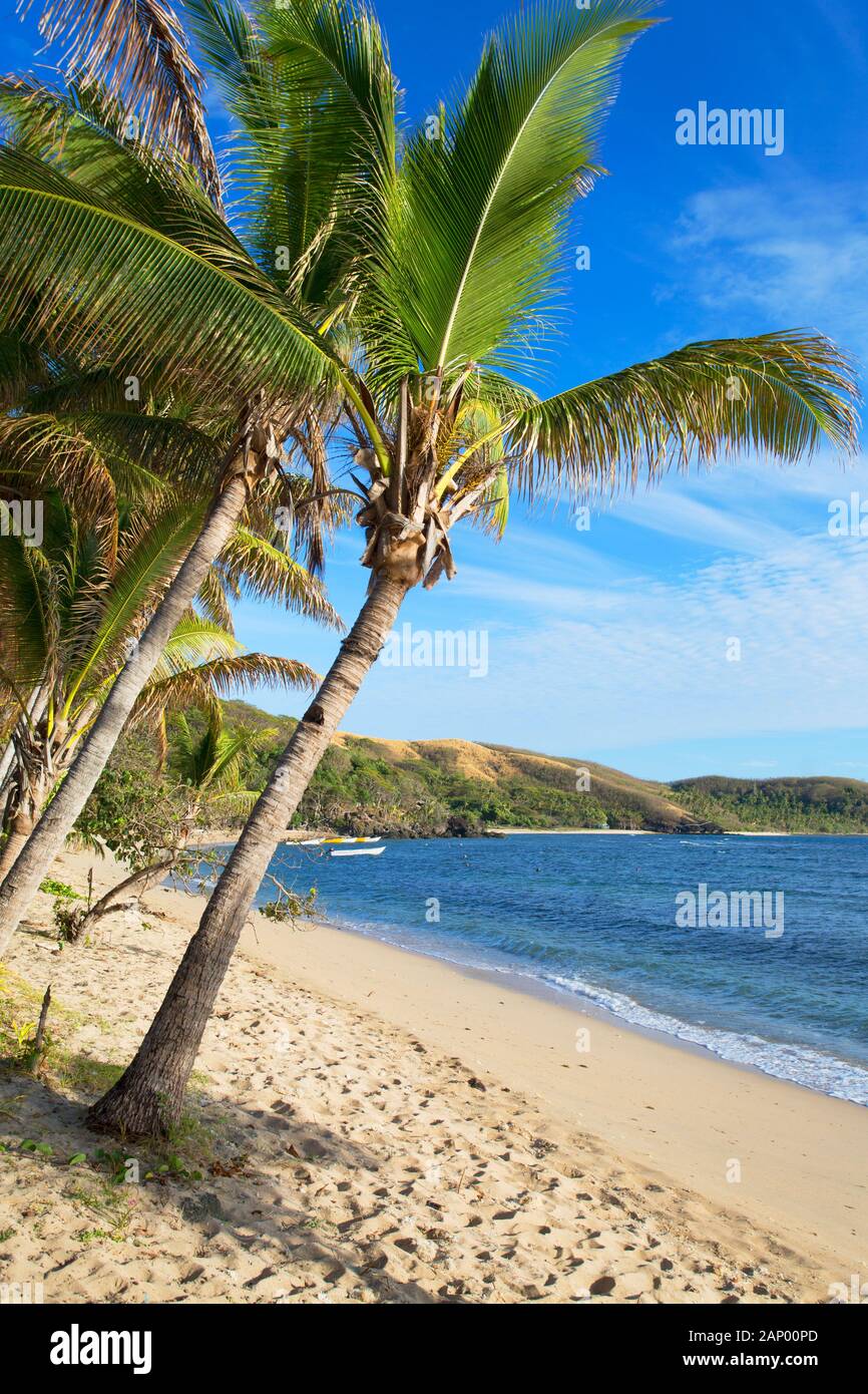 Beach on Waya Island, Yasawa Islands, Fiji Stock Photo - Alamy