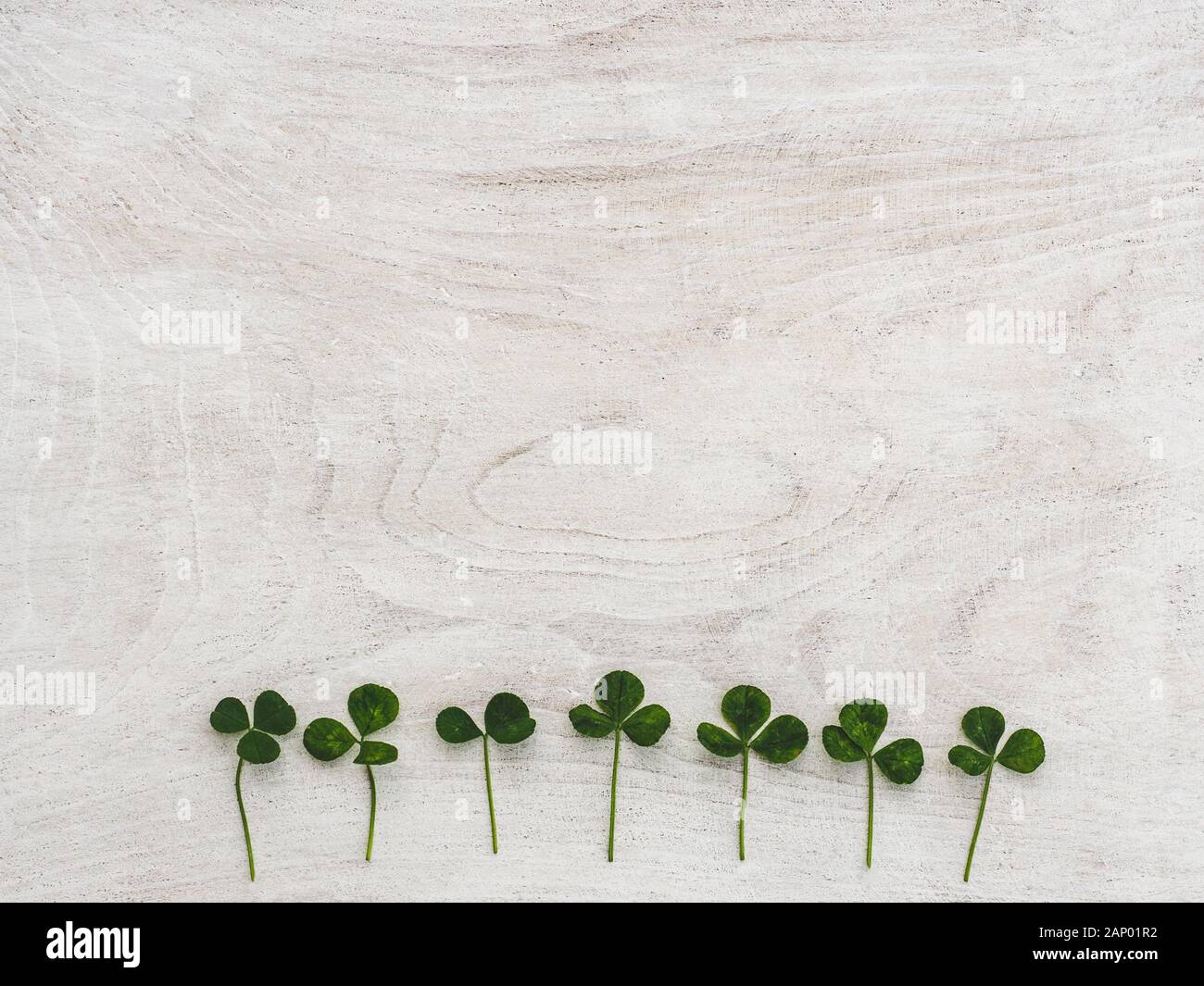 St. Patrick's Day. Beautiful card. White background Stock Photo - Alamy