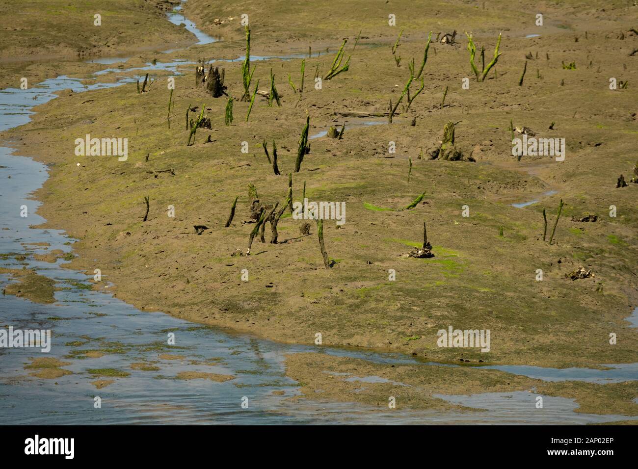 Dead low tide hi-res stock photography and images - Alamy