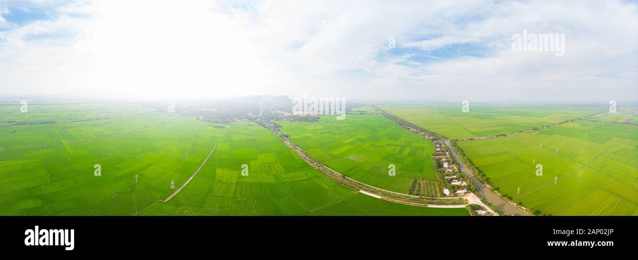Aerial view of rice fields in the Mekong River Delta region, South ...