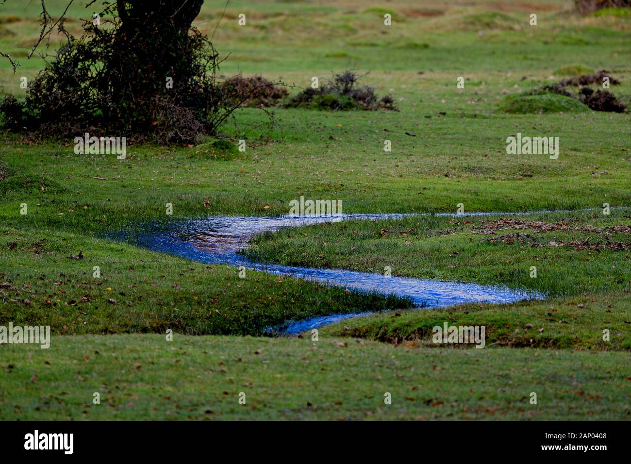 Meandering stream through grassland Stock Photo - Alamy