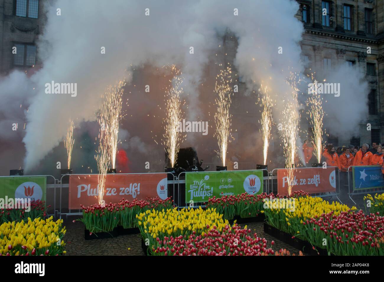 Tulip firework hi-res stock photography and images - Alamy