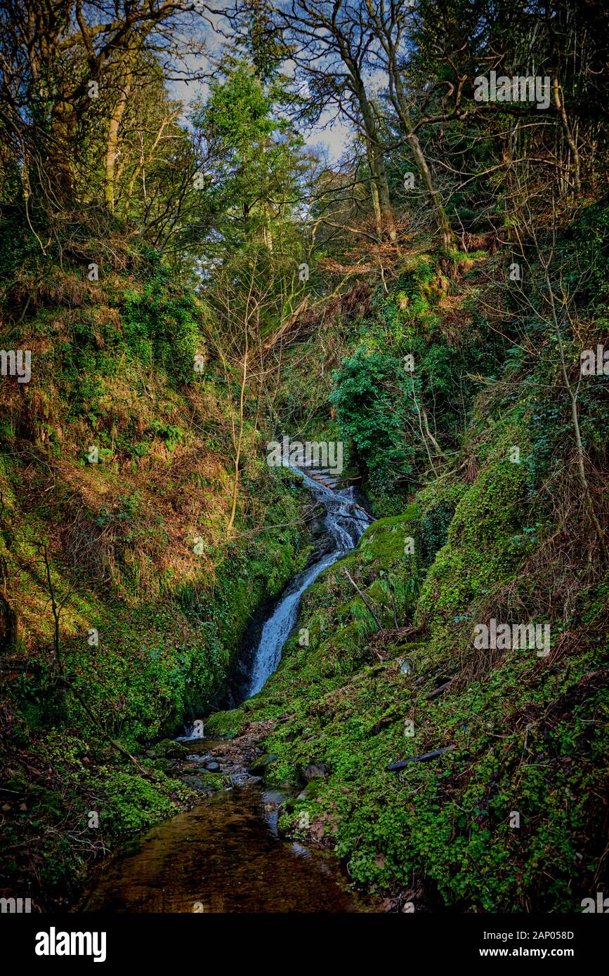 Illicit whisky scotland hi-res stock photography and images - Alamy