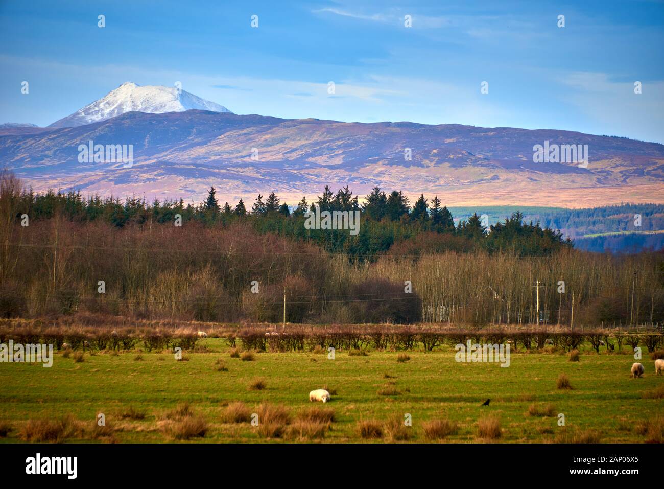 Illicit whisky scotland hi-res stock photography and images - Alamy