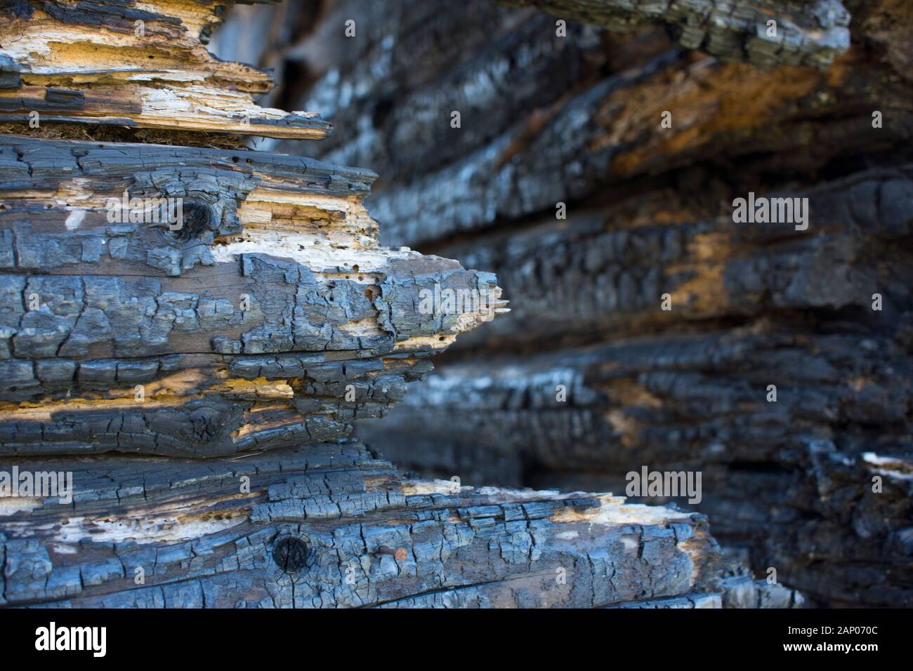 Natural fire ashes with dark grey black coals texture. It is a ...