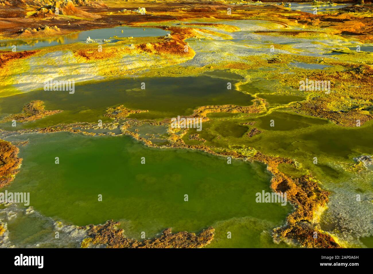 Acid brine pool with sulphuric sediments, geothermal field of Dallol ...