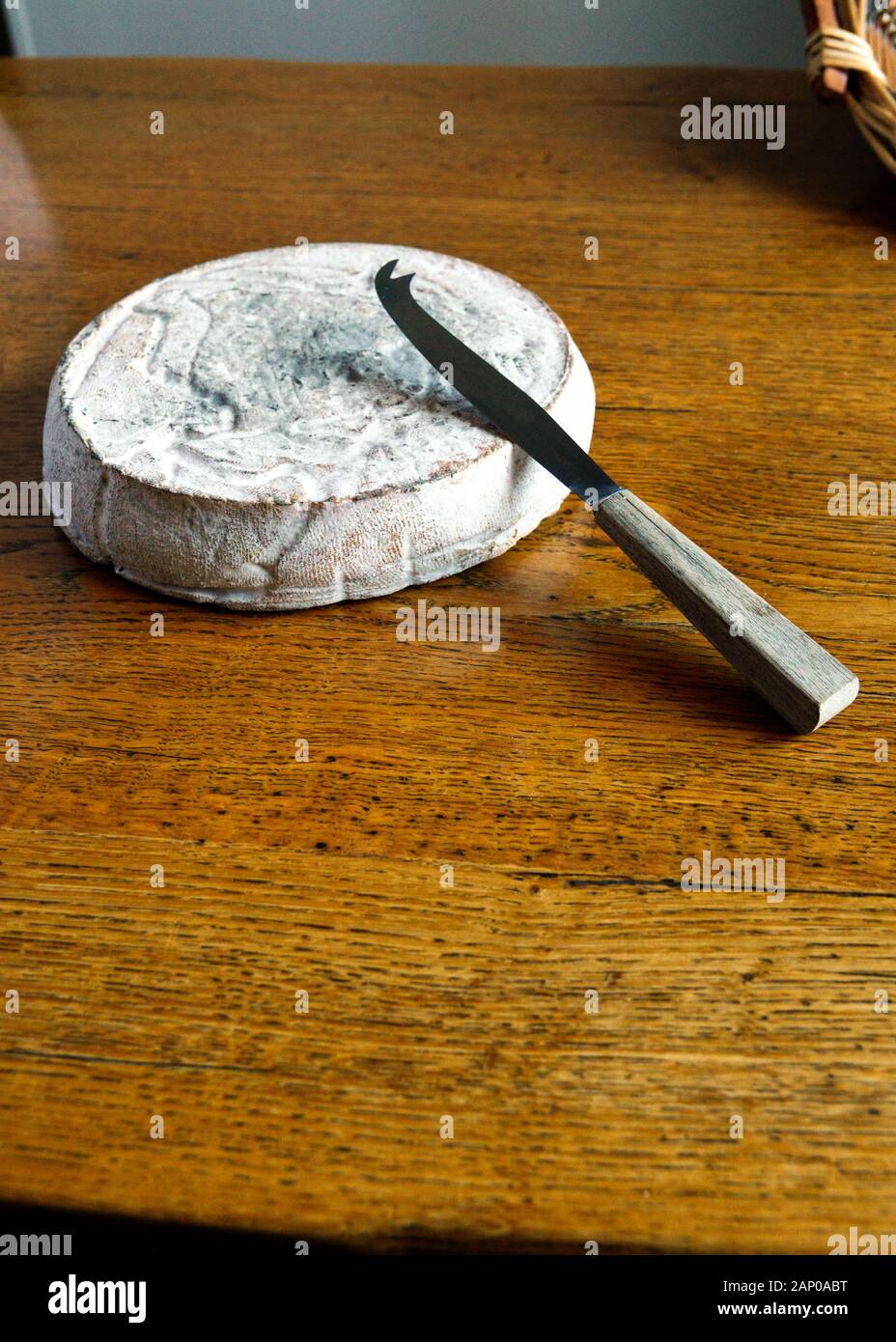 Auvergne cheese, Saint Nectaire, this is mountain cheese Stock Photo ...