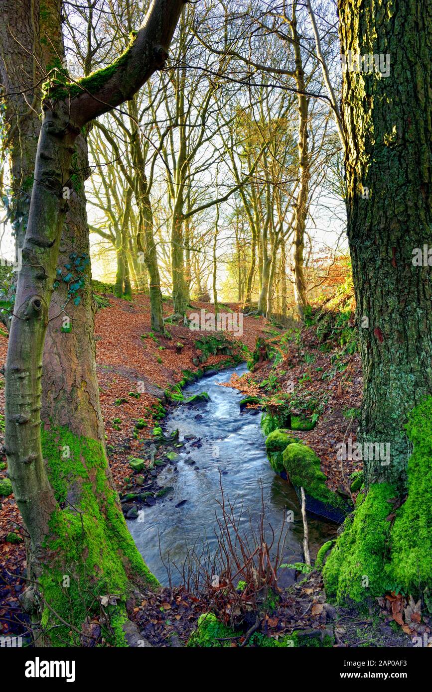 Bentley Brook,running water,Lumsdale Valley,Matlock,Derbyshire,Peak ...