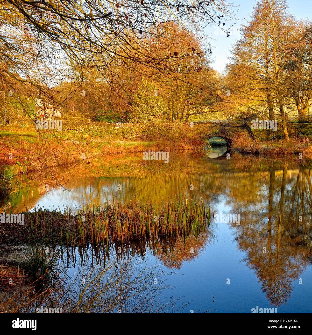 Lumsdale lower pond,Lumsdale valley,Matlock,Derbyshire,Peak District ...