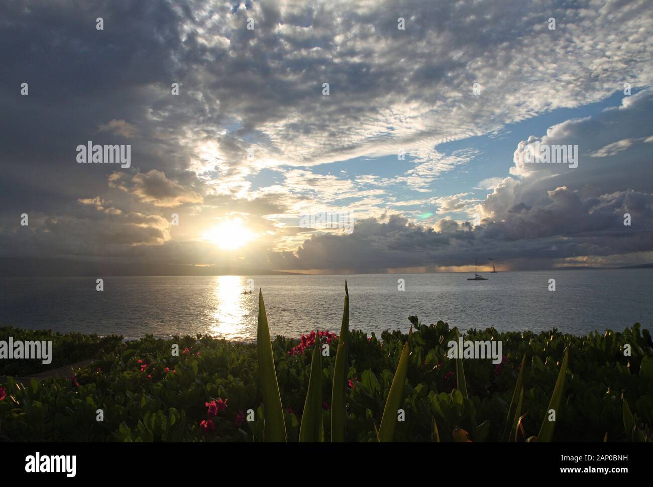 Maui paradise tropical sunset hi-res stock photography and images - Alamy