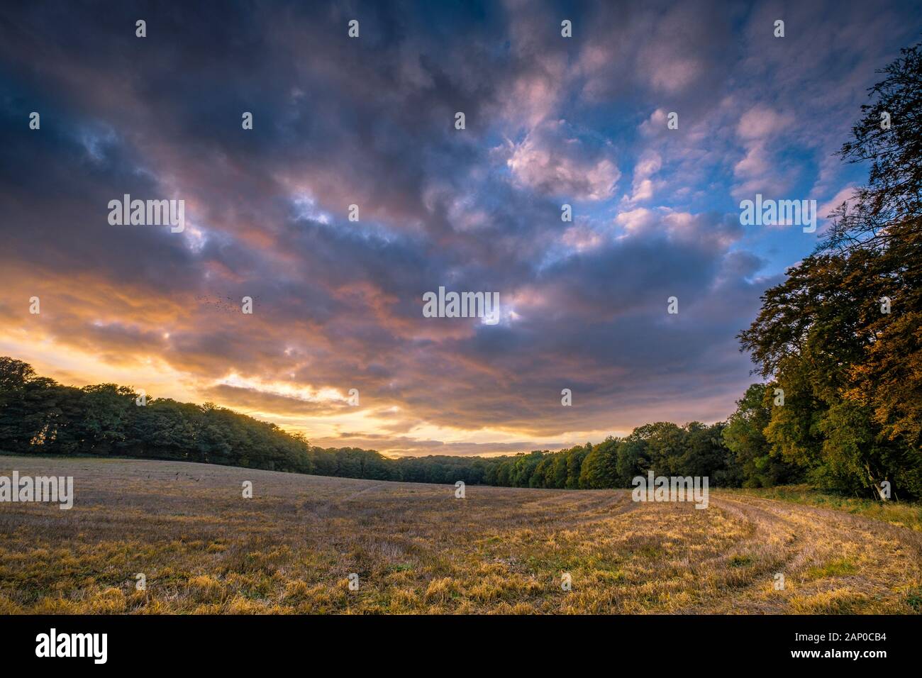 Big norfolk sky hi-res stock photography and images - Alamy