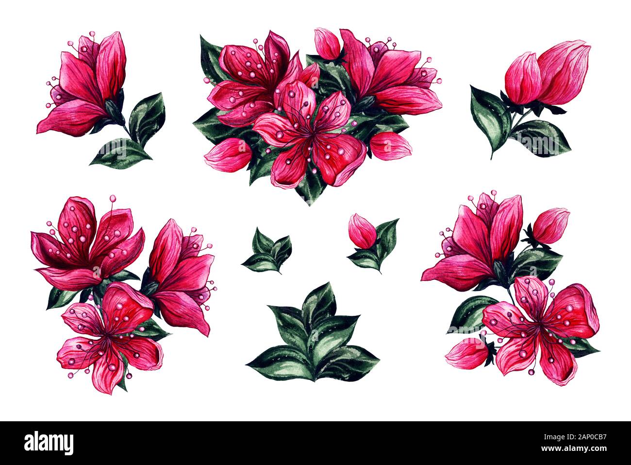 Plum blossom pink flowers, floral decoration isolated elements ...