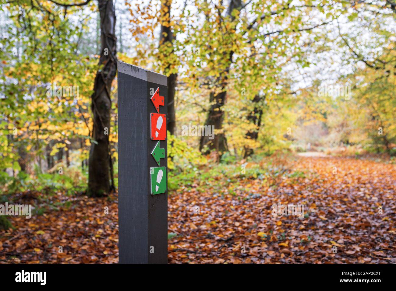 Footpath and bridleway wales hi-res stock photography and images - Alamy