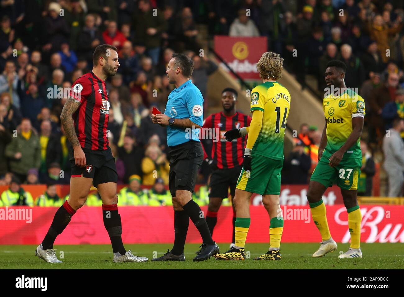 Steve cook bournemouth norwich hi-res stock photography and images - Alamy