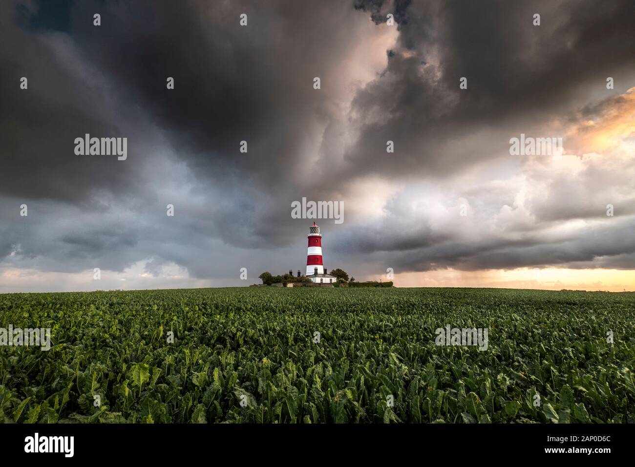 The Happisburgh lighthouse on the North Norfolk coast sat in the middle ...
