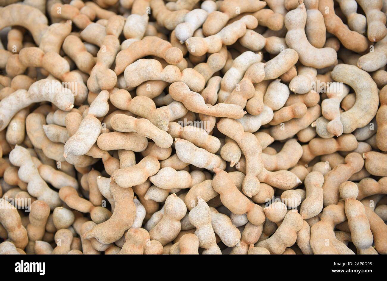 Pile of sweet tamarind for sale in the market fruit / fresh tamarind ...