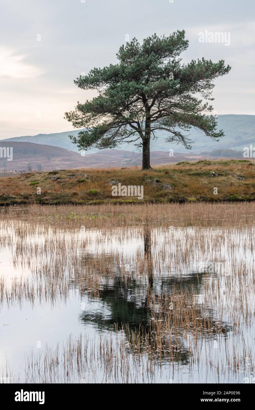 Kelly hall hi-res stock photography and images - Alamy