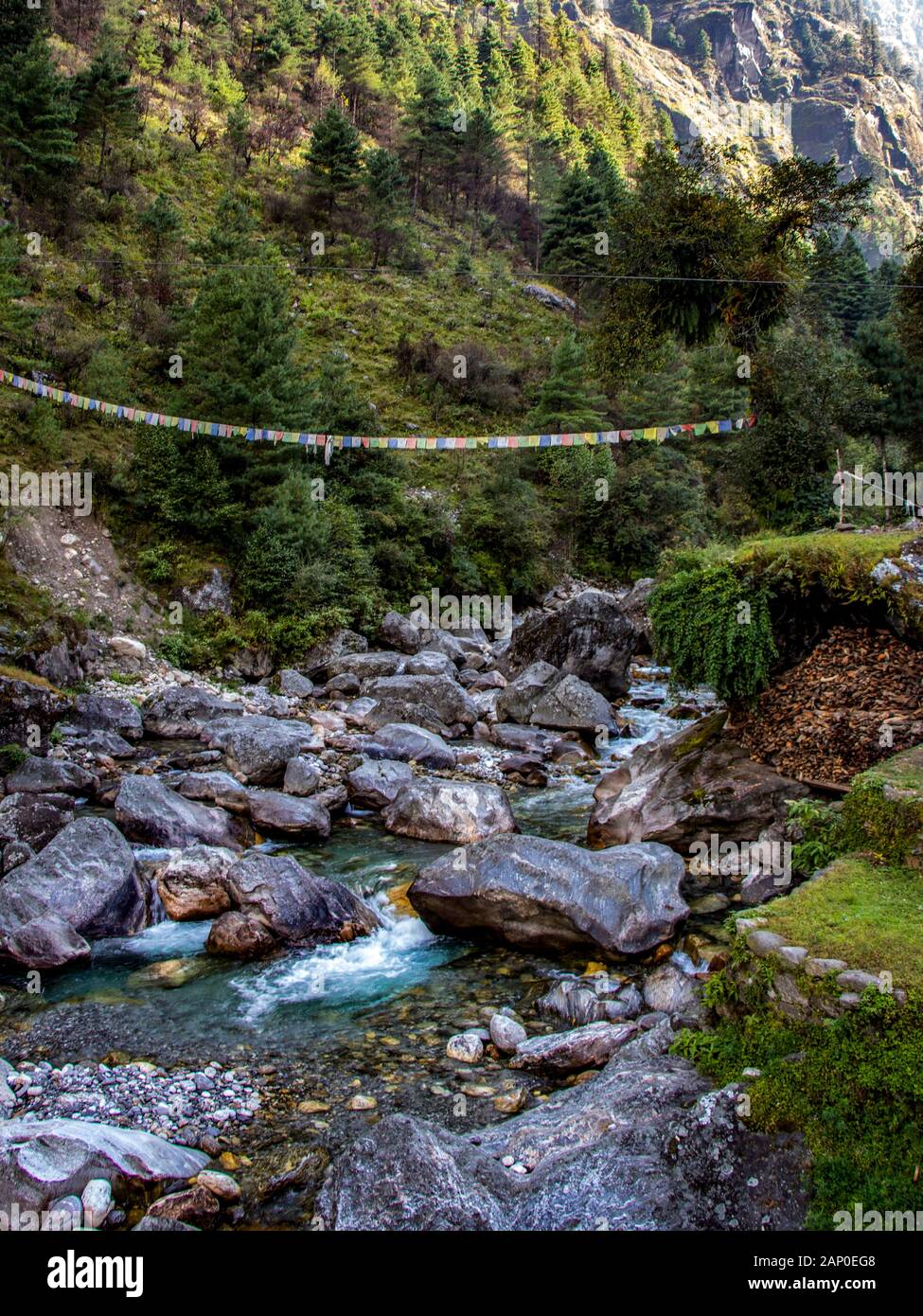 Mountain river in the Himalaya area in Nepal Stock Photo - Alamy