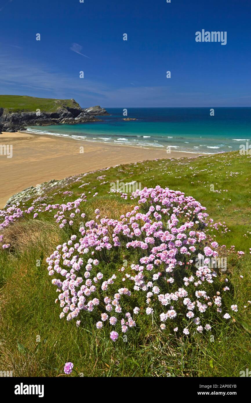 Polly joke beach hi-res stock photography and images - Alamy