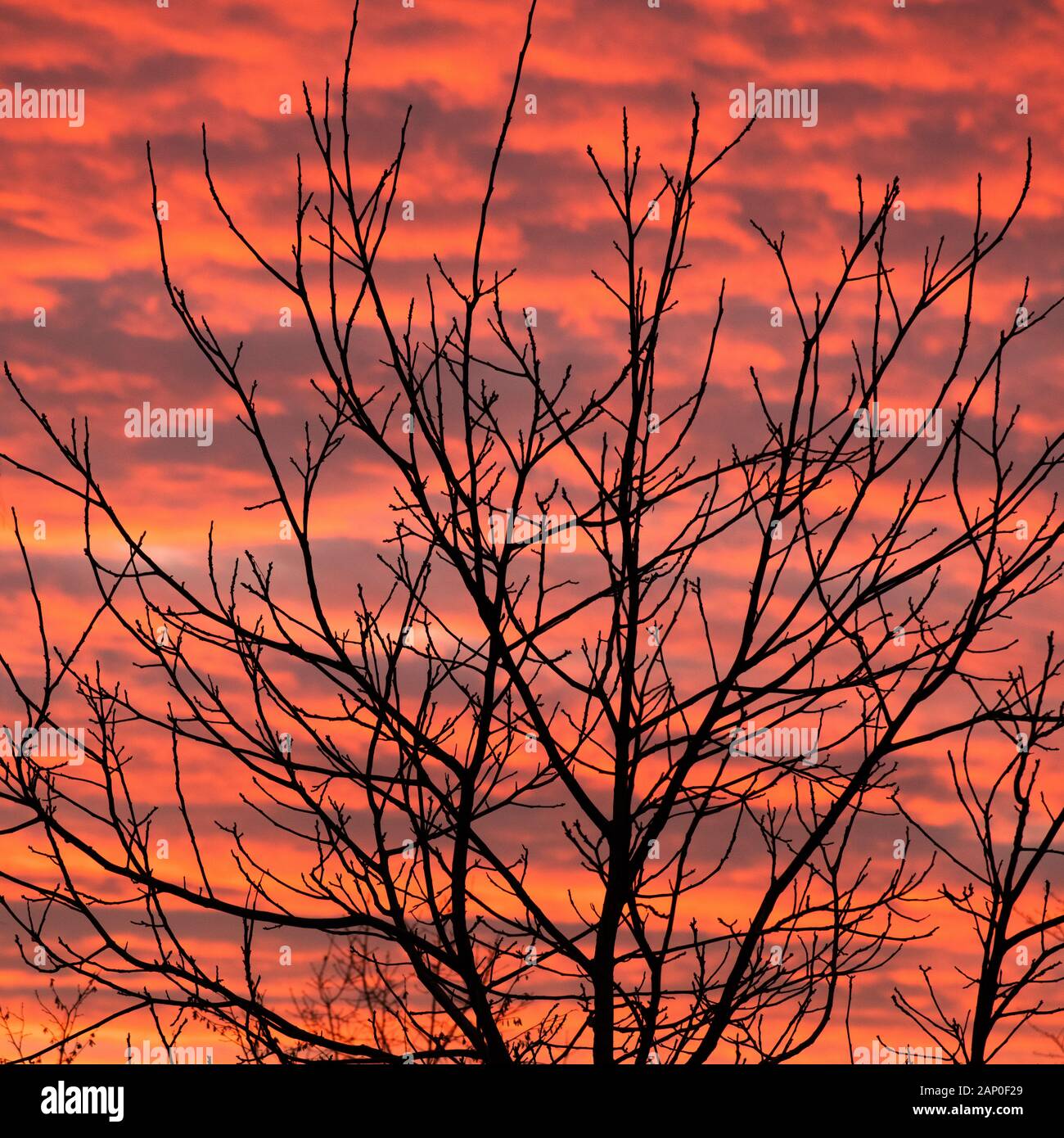Stunning color sky sunset hi-res stock photography and images - Alamy