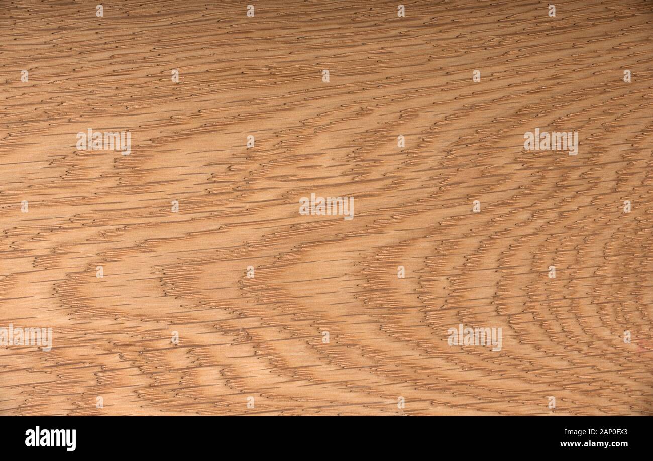 Wood texture, oak wood detail of beautifull nice little warm oak Stock ...