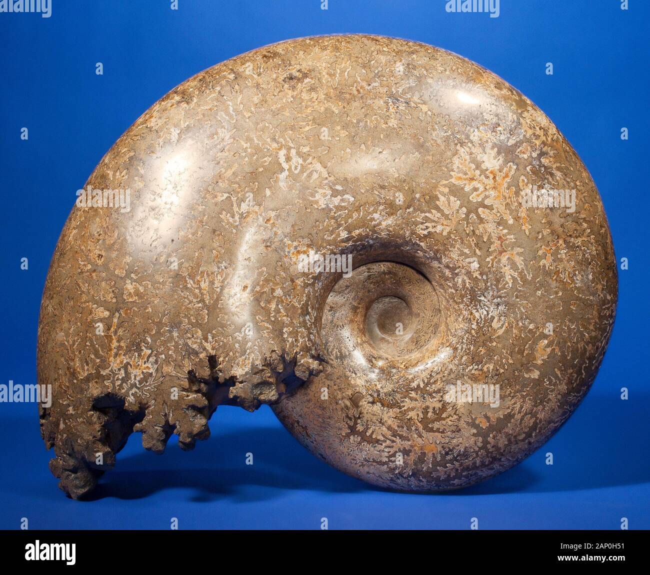 Quarts mining hi-res stock photography and images - Alamy