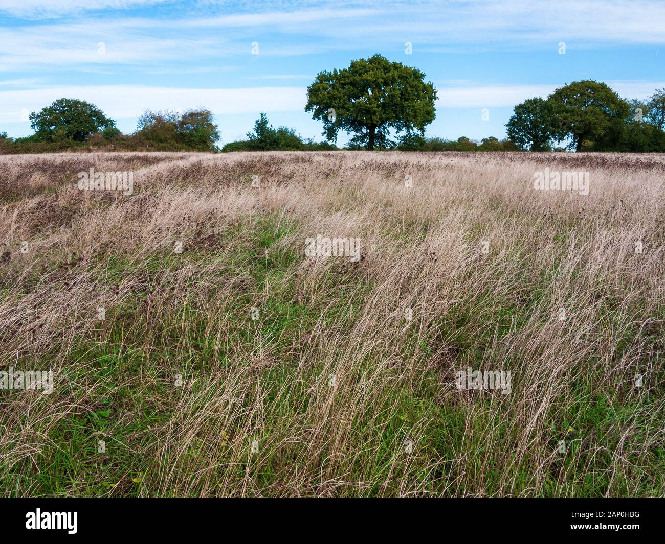Outside natural scene of grass and fields and sky; England; UK Stock ...