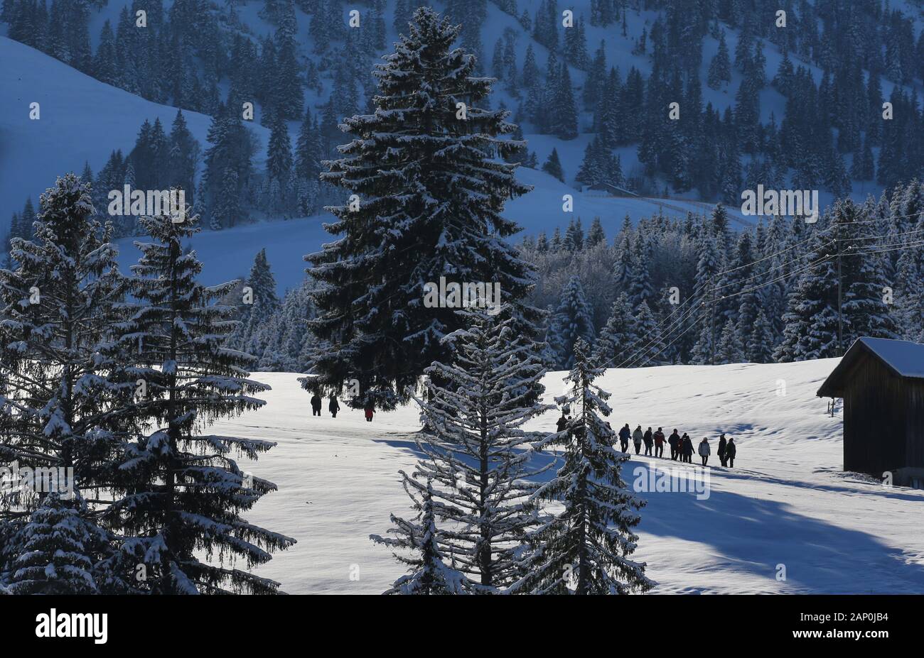 Bad Hindelang, Germany. 20th Jan, 2020. A group of hikers is walking in ...