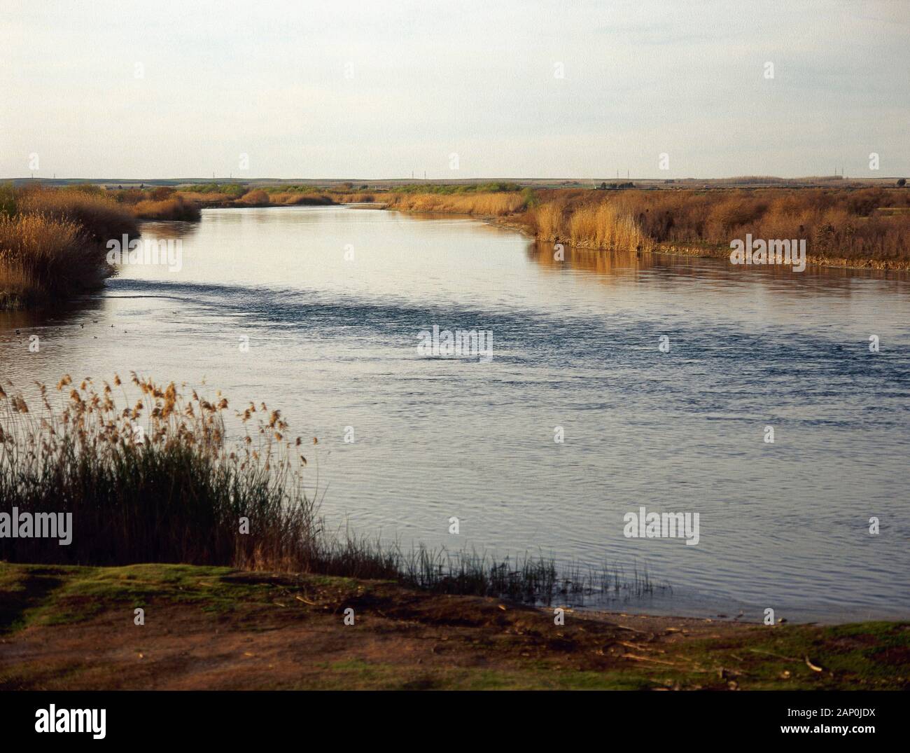 Syria. River course of the Euphrates between Deir ez-Zor and Abou Kemal ...