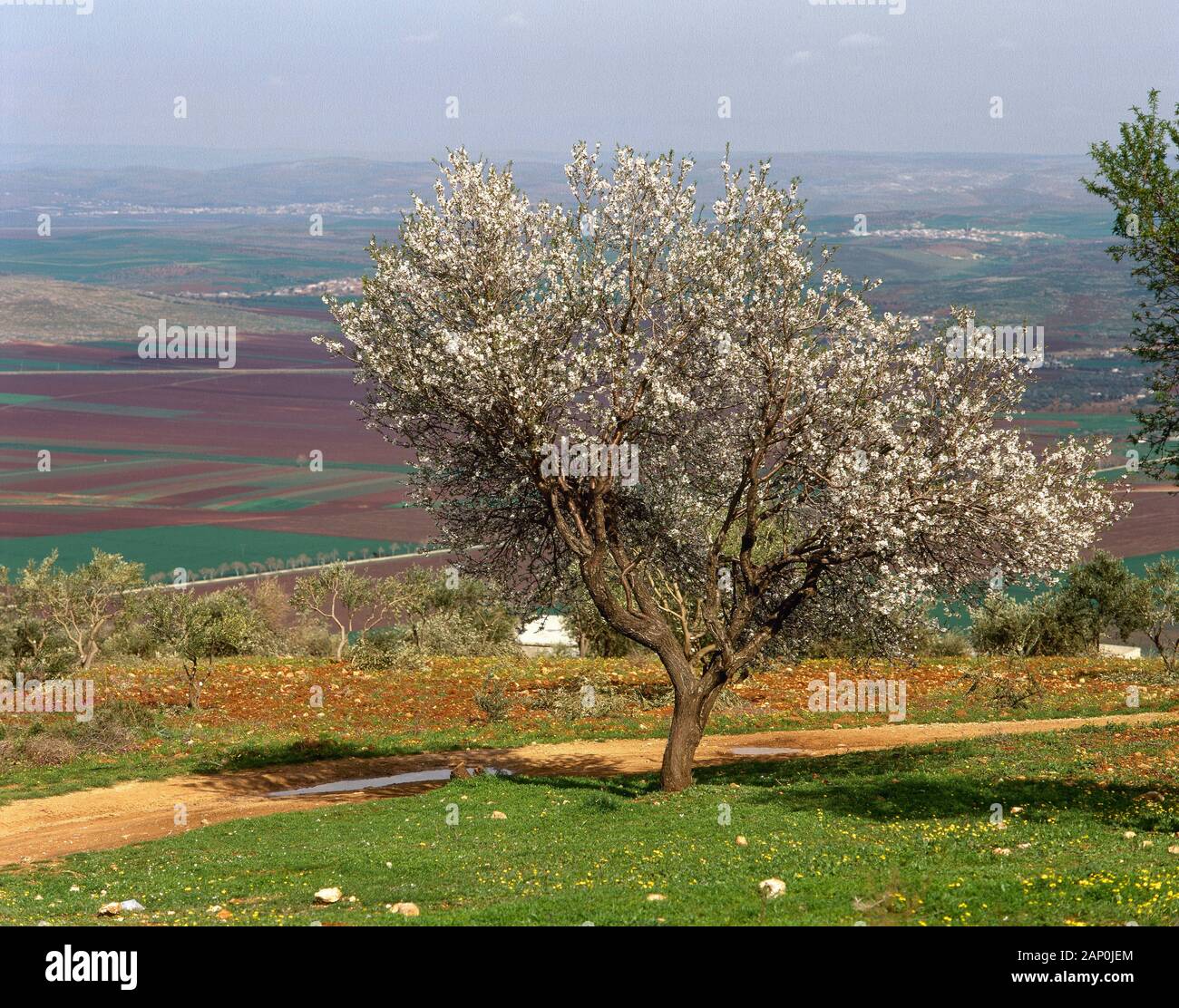 Border area hi-res stock photography and images - Alamy