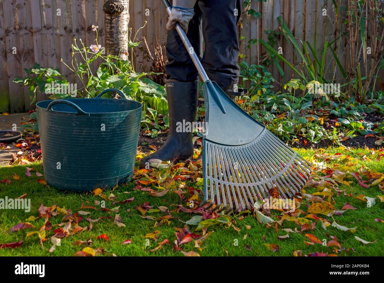 Collecting leaves grass hi-res stock photography and images - Alamy