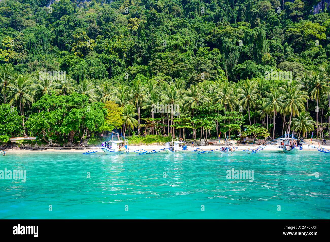 Tropical Papaya beach at paradise coast, El Nido, Palawan, Philippines ...