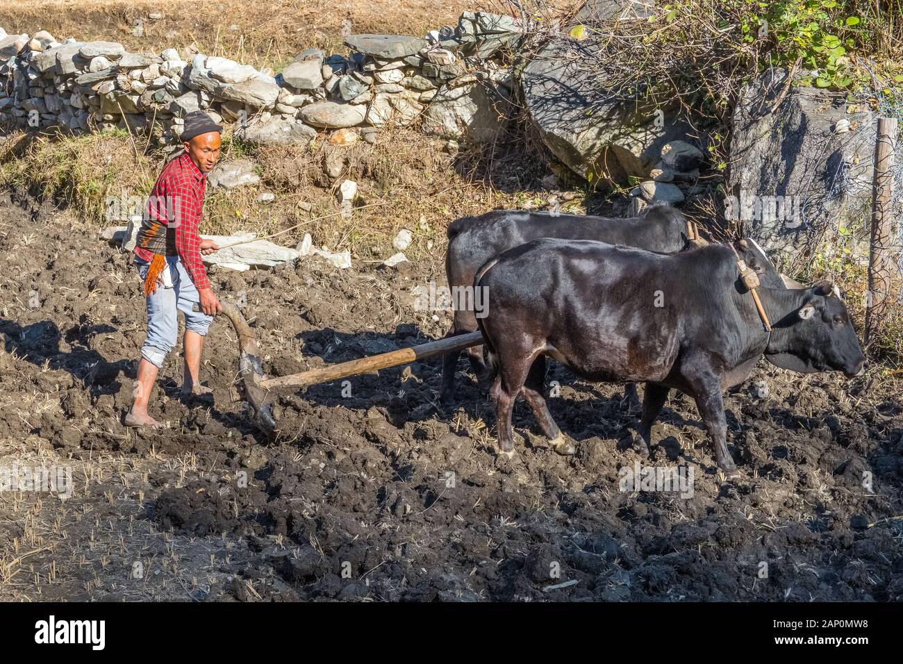 Wooden plough hi-res stock photography and images - Alamy