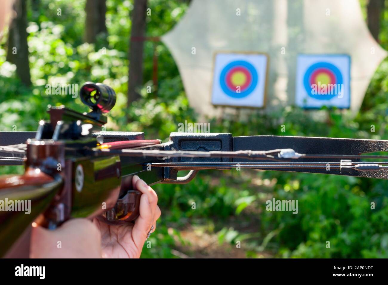 Woman aiming crossbow at target outdoor Stock Photo - Alamy