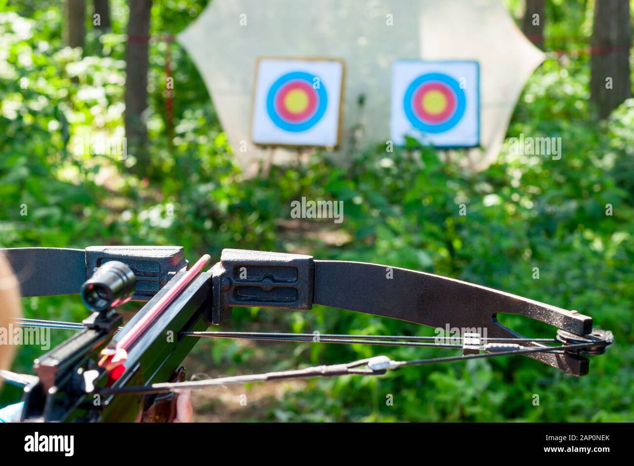 Woman aiming crossbow at target outdoor Stock Photo - Alamy