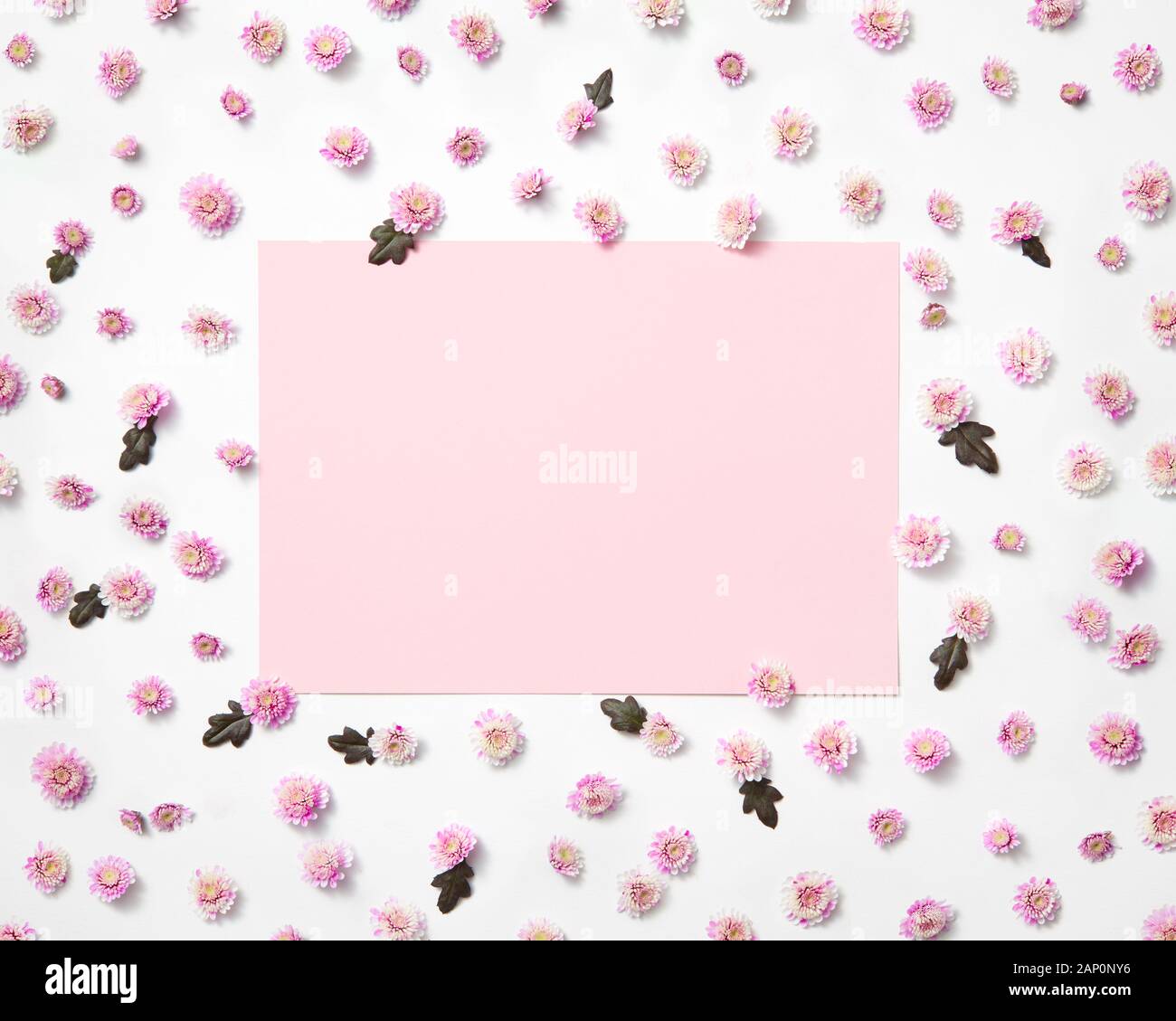 Square frame pink flowers on hi-res stock photography and images - Alamy