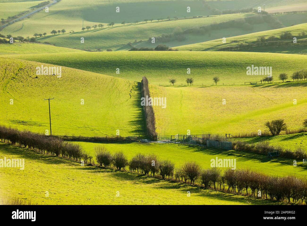 Winter afternoon on the South Downs near Brighton Stock Photo - Alamy