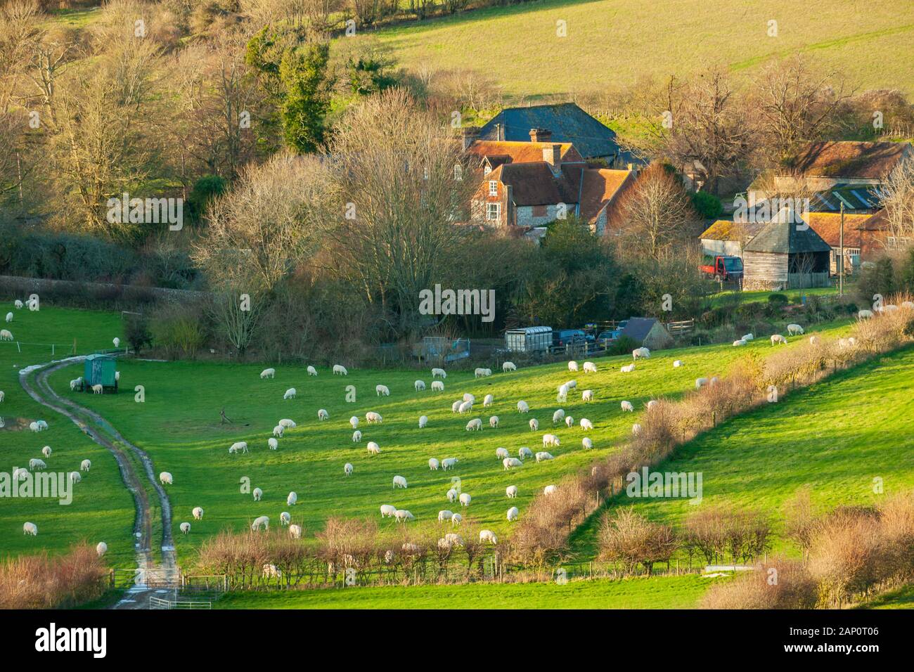 Winter afternoon at Saddlescombe village on the South Downs in West ...