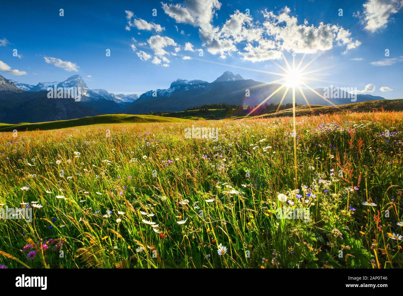 Alp Flix, a plateau used as an mountain pasture. Graubuenden ...