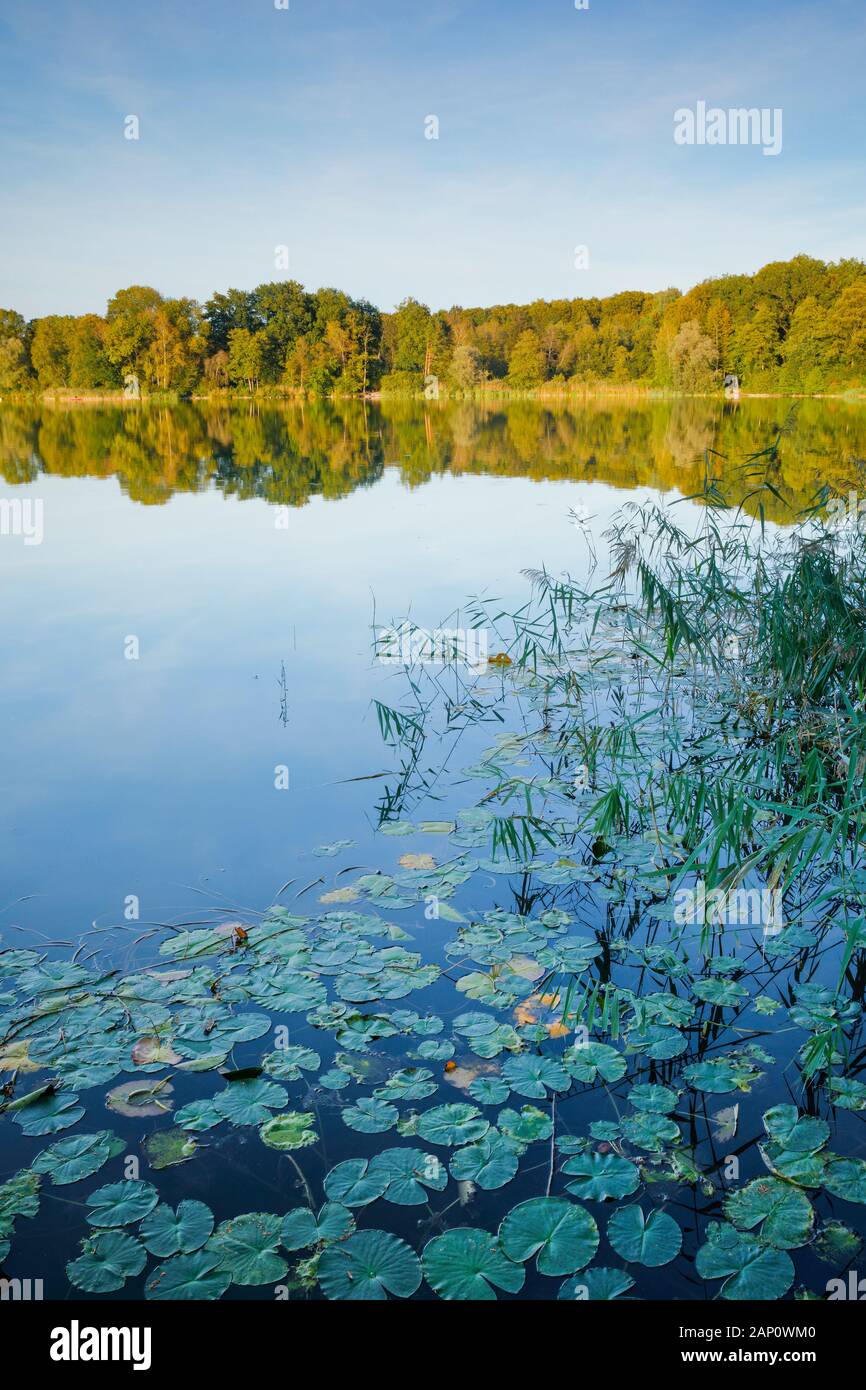 The lake Burgaeschisee. Solothurn, Switzerland Stock Photo - Alamy